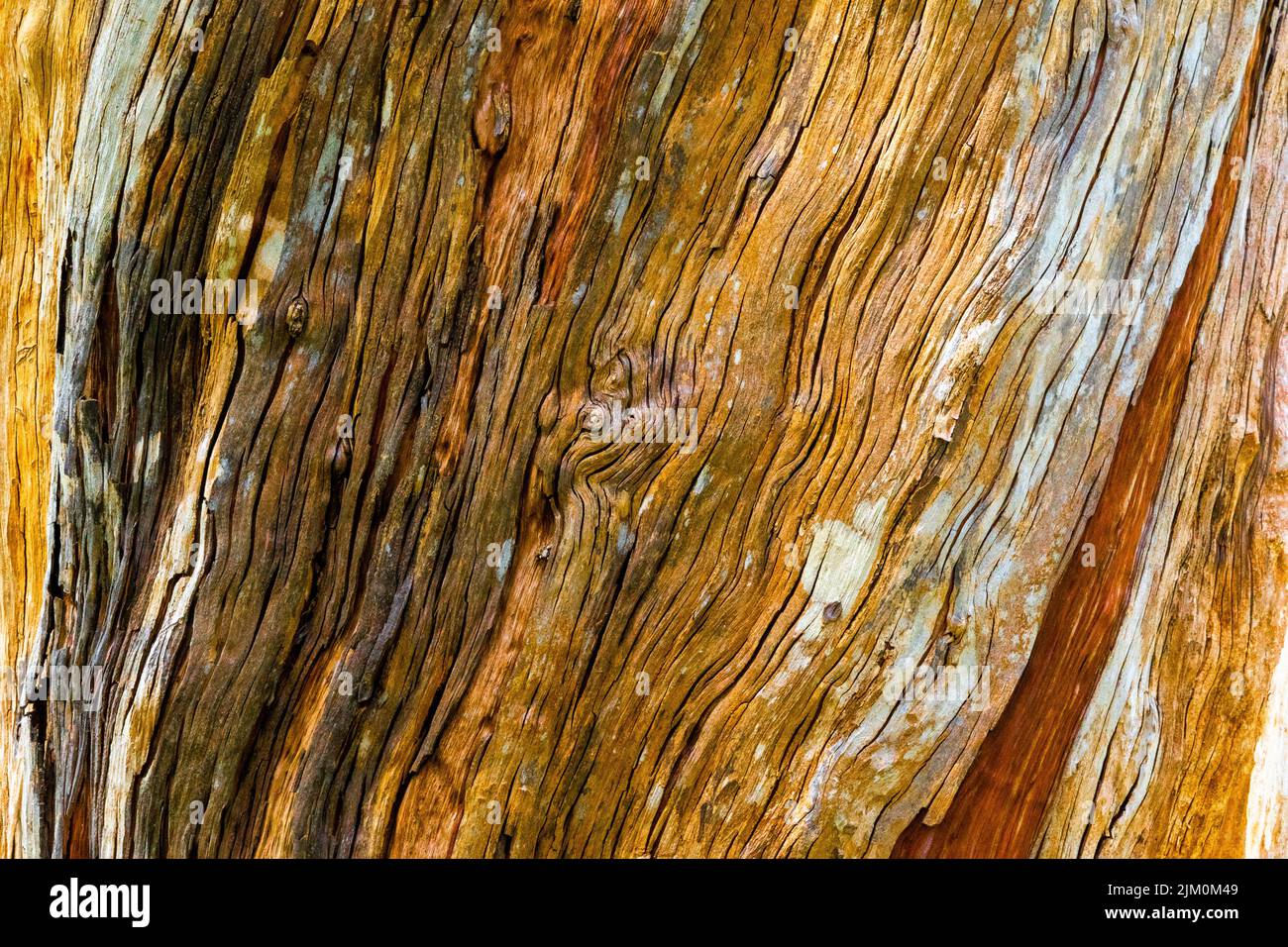Damaged wood texture hi-res stock photography and images - Alamy