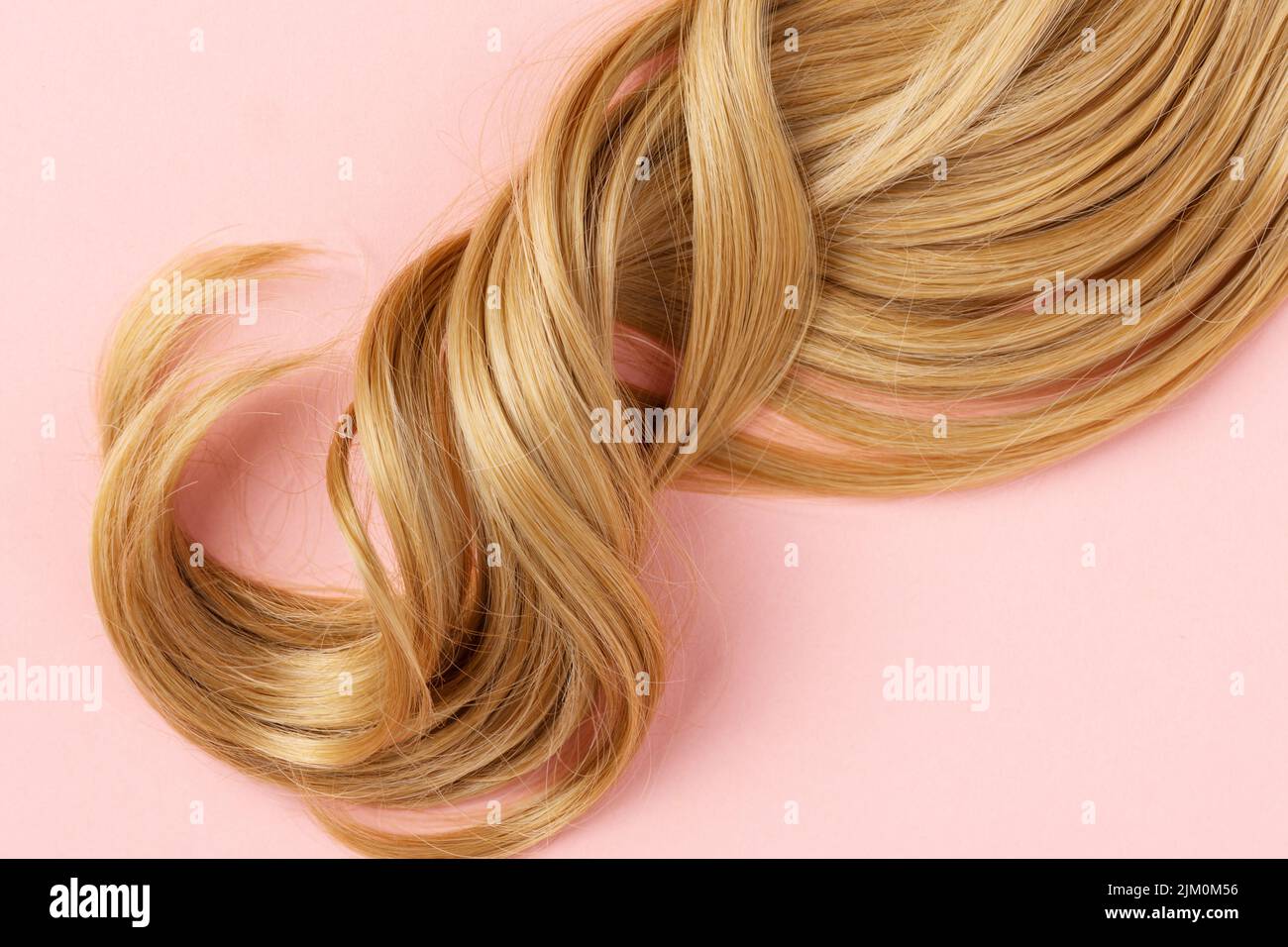 Long golden blond curly hair. A part of blond hair top view on pink ...