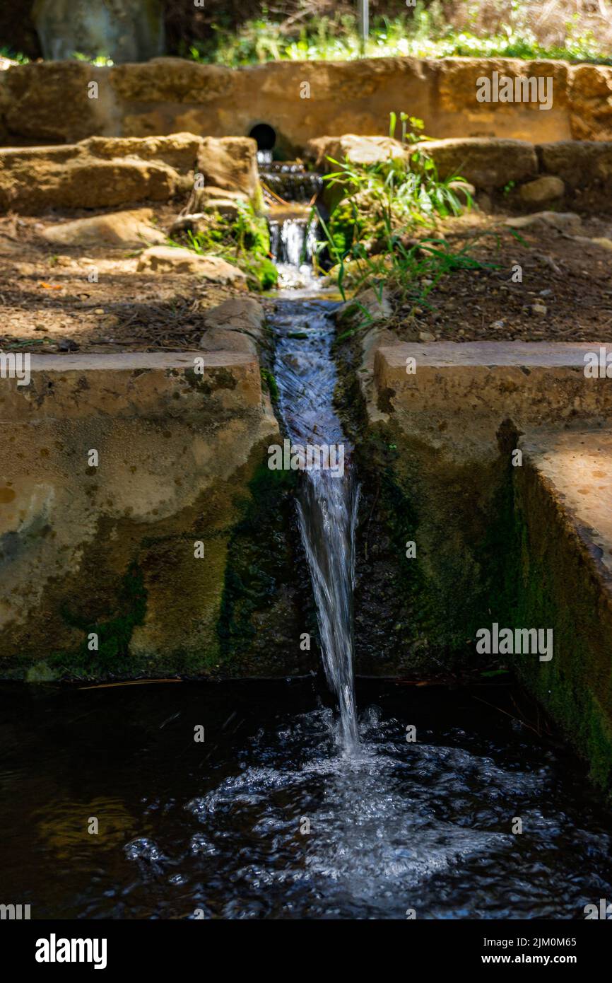 fresh water spring in the mountain with moss-covered stones Stock Photo ...
