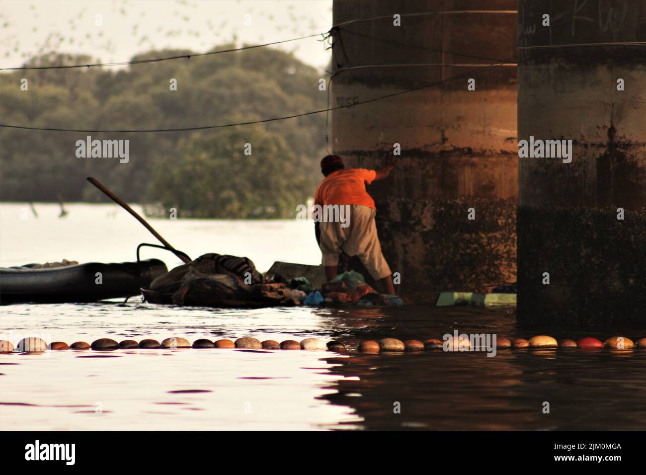 A back view of a person cleaning the pillars on the Native Bridge in ...