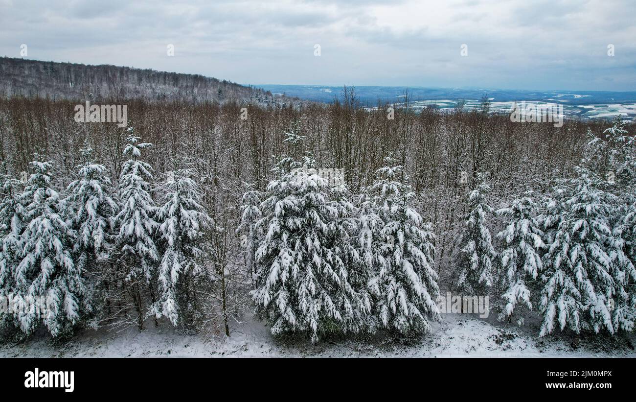 A high angle of leafless forests covered with snow in winter in Bavaria ...