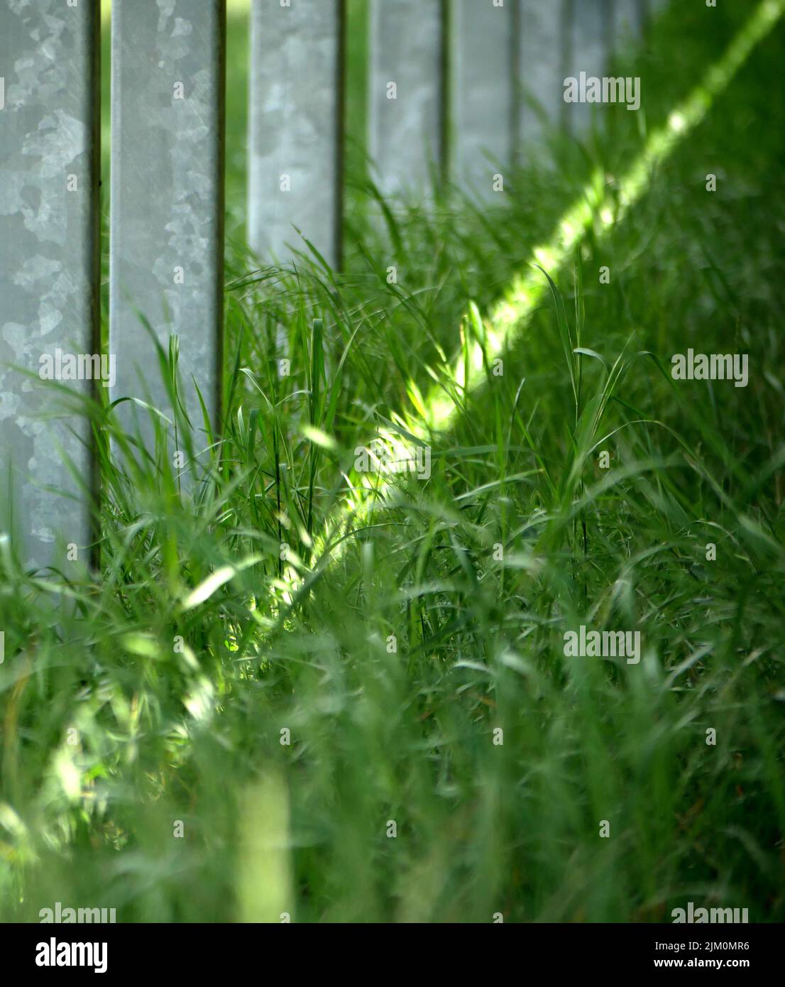 Beam close hi-res stock photography and images - Alamy