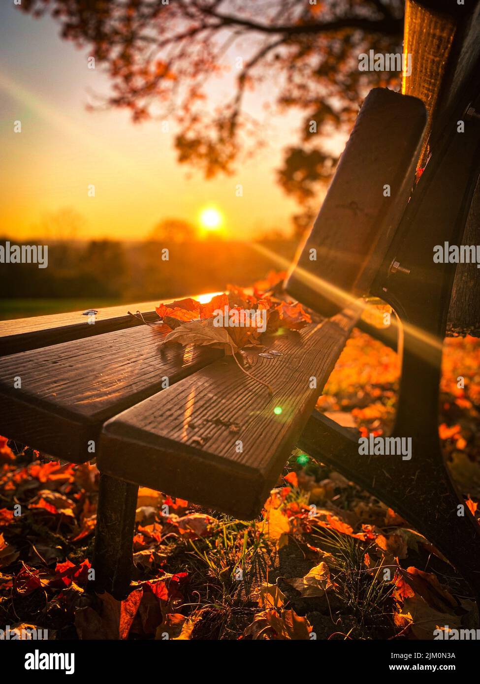 The vertical shot of orange leaves on a park bench with a sunset sun ...