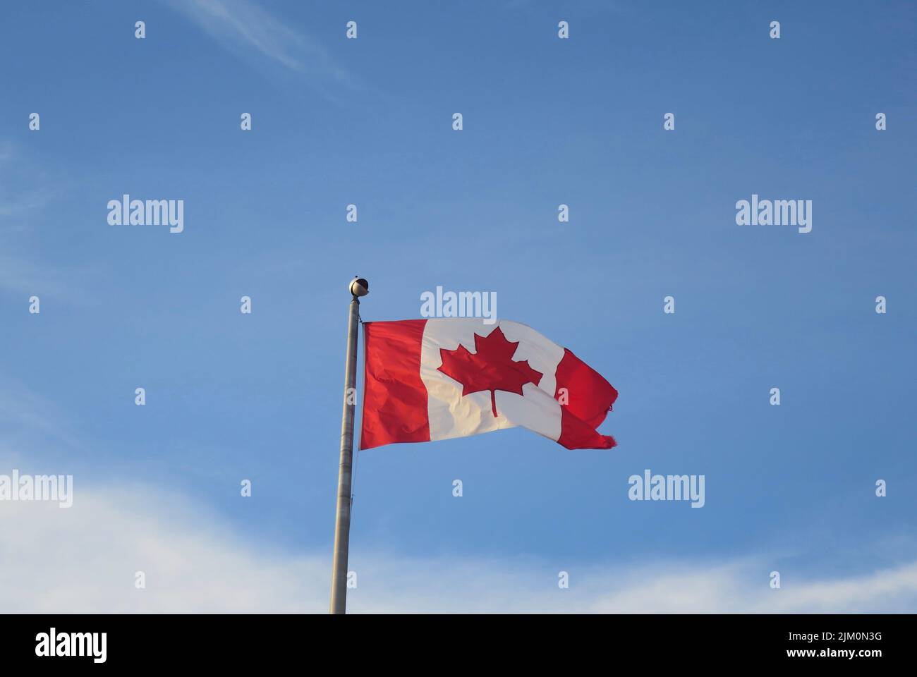 Canada flag leaf hi-res stock photography and images - Alamy