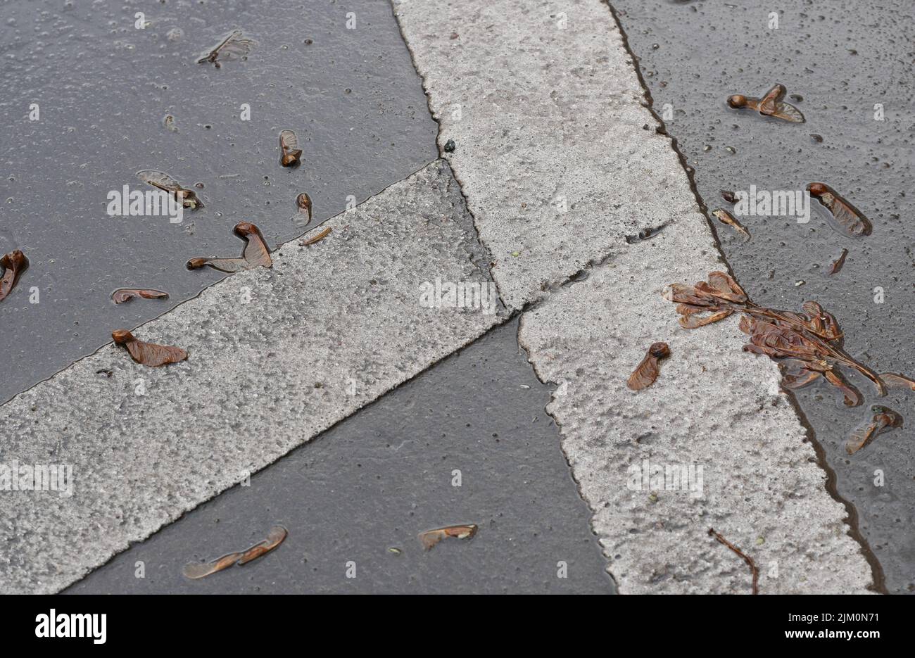 White traffic lines in tarmac crossing Stock Photo - Alamy