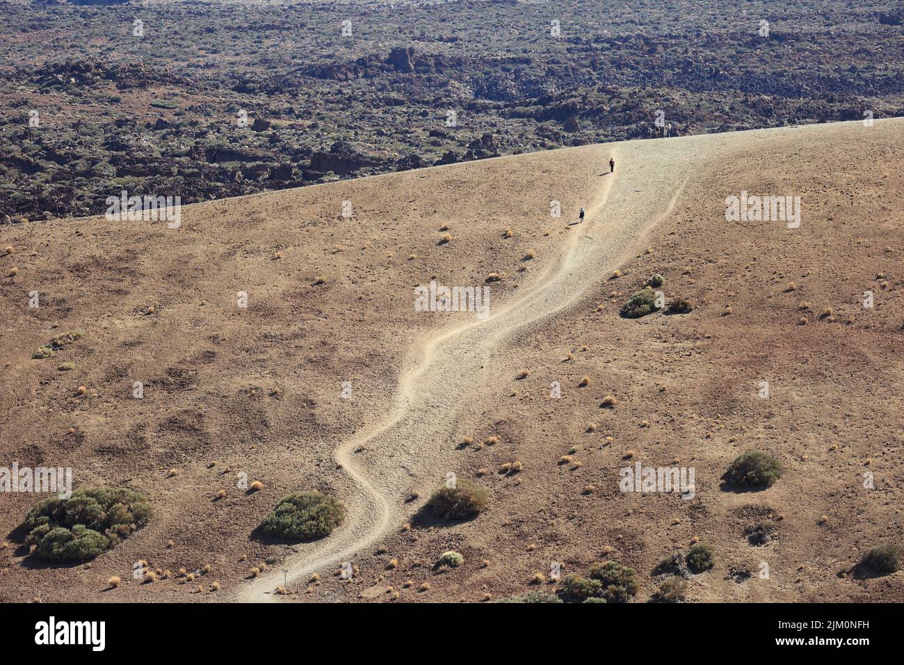 An aerial view of people walking in the path in a desert Stock Photo ...