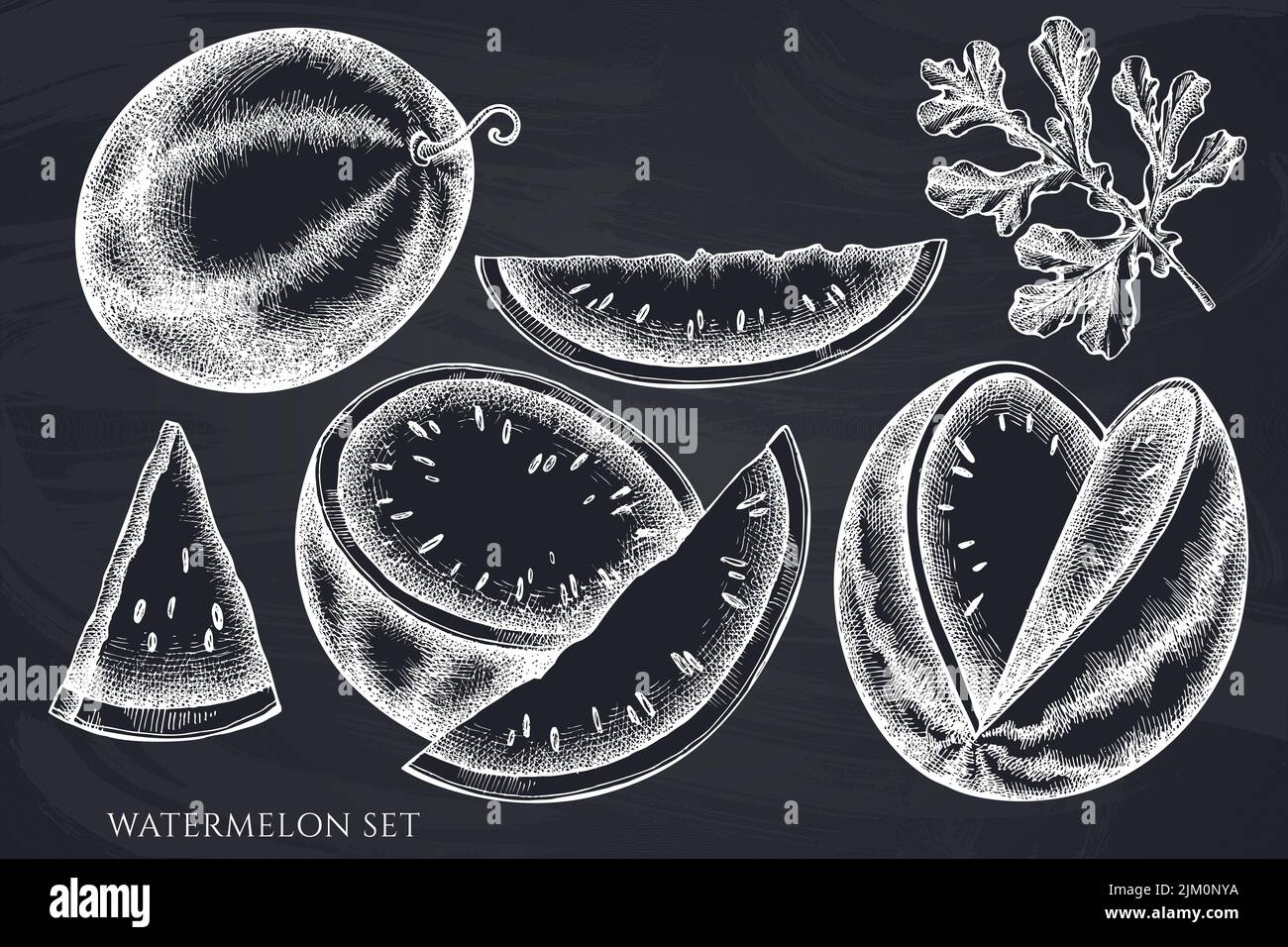Fruits hand drawn vector illustrations collection. Chalk watermelon ...