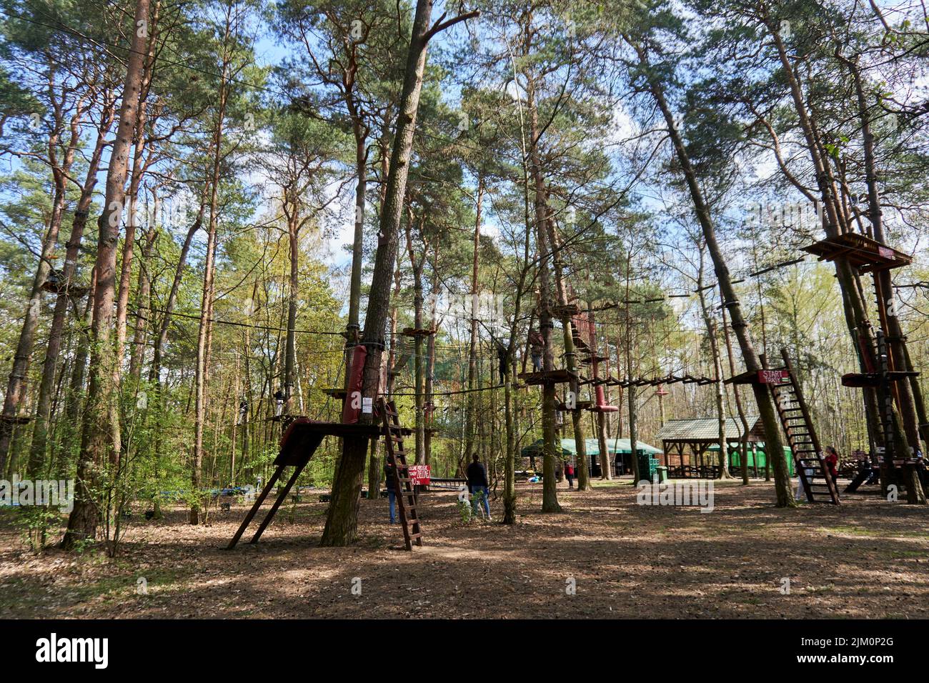 The people climbing on trees at a route in the Pyrland climb park in ...