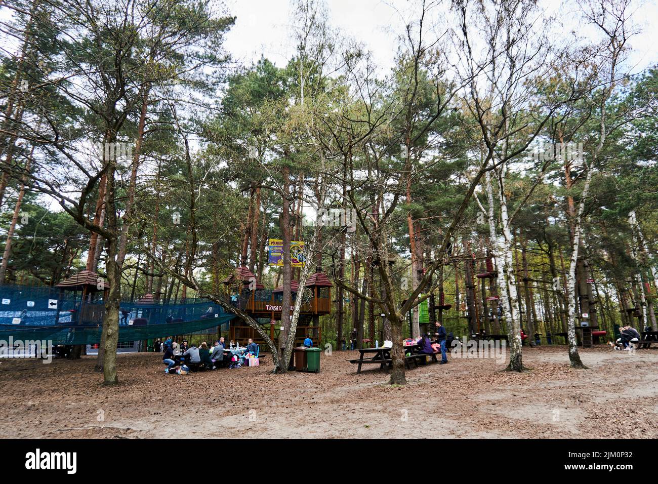 The people climbing on trees at a route in the Pyrland climb park in ...