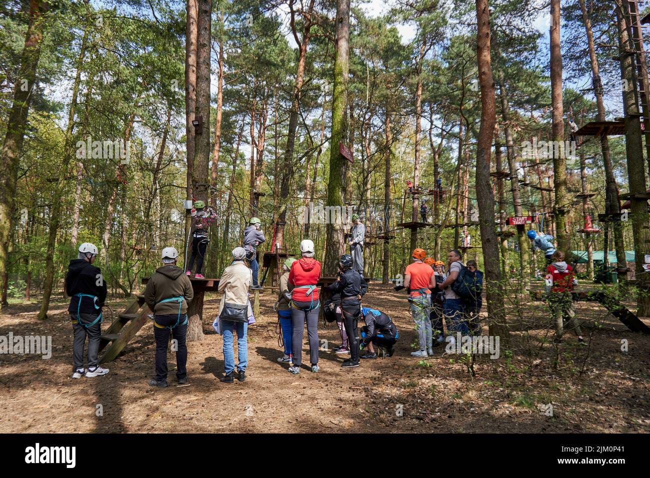 A group of people watching climbers on a tree in the Pyrland climbing ...