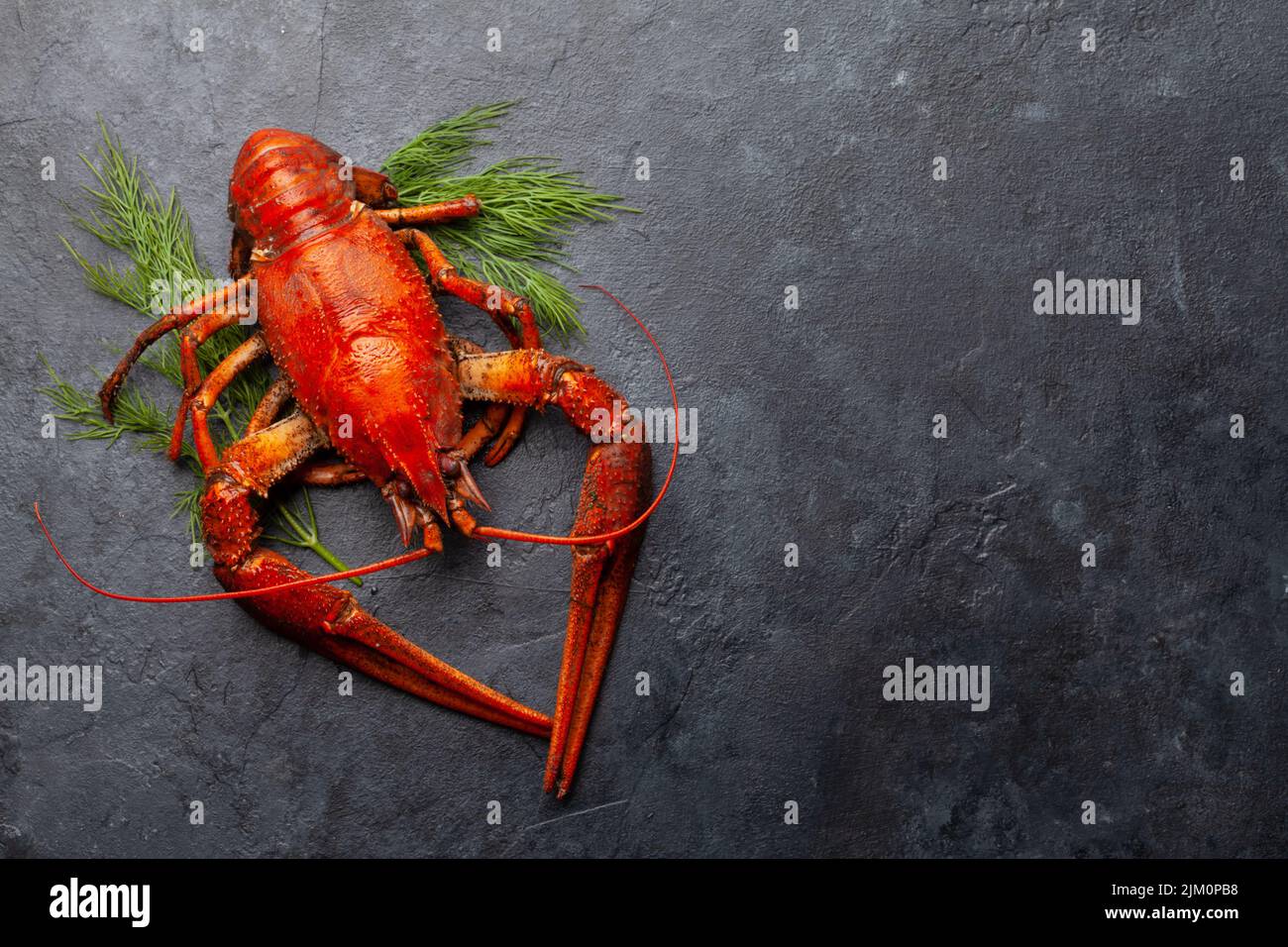 Boiled crayfish with dill. Top view flat lay with copy space Stock ...