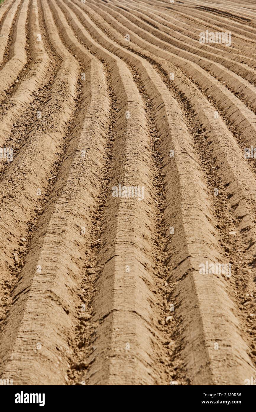 The ploughed field in Geilenkirchen, Germany - Farm scenery Stock Photo ...