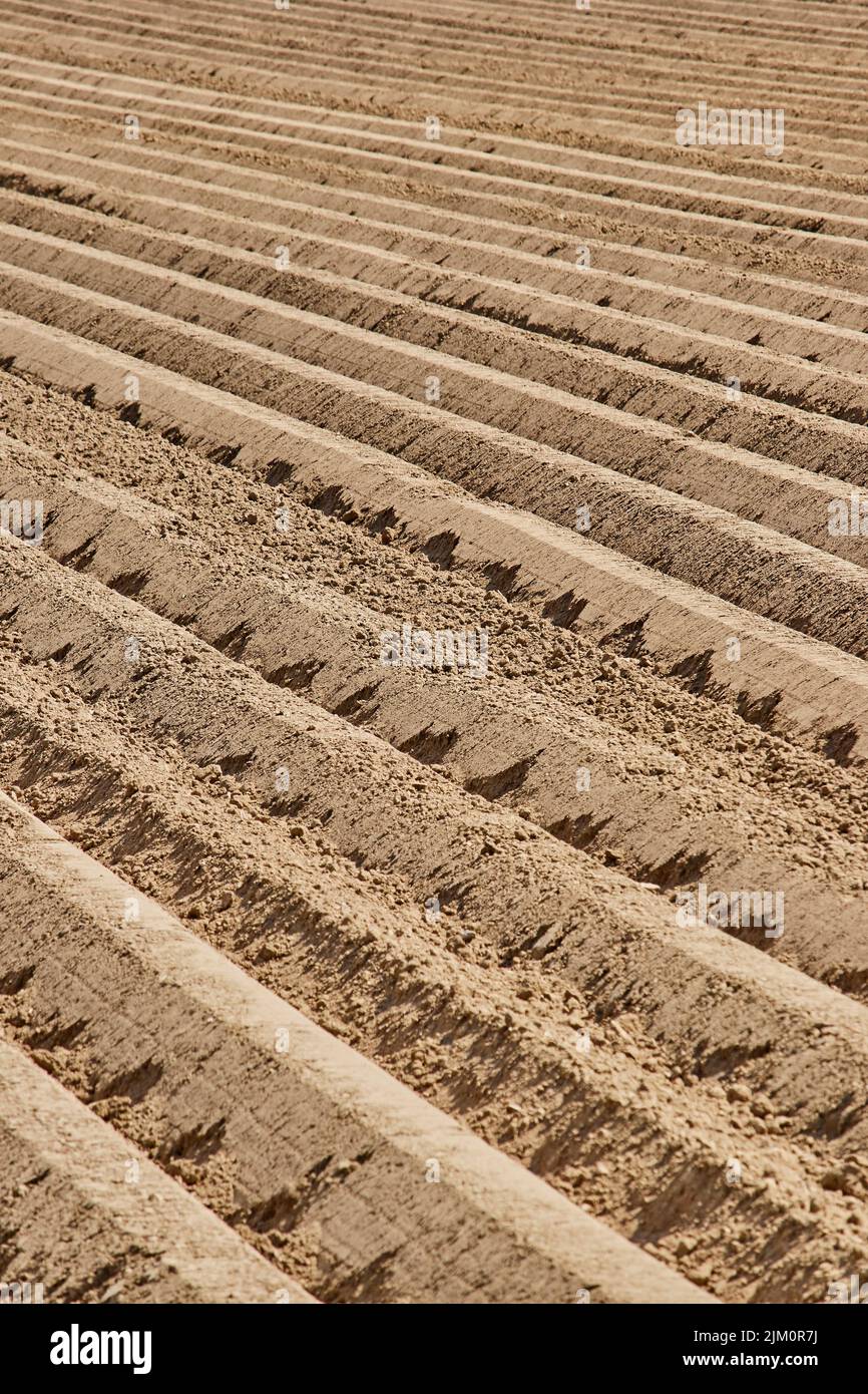 The ploughed field in Geilenkirchen, Germany - Farm scenery Stock Photo ...