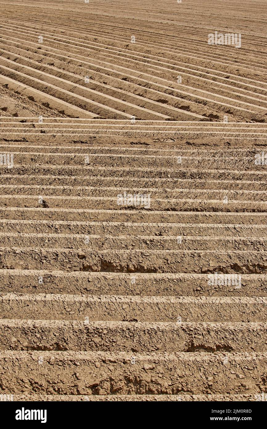 The ploughed field in Geilenkirchen, Germany - Farm scenery Stock Photo ...