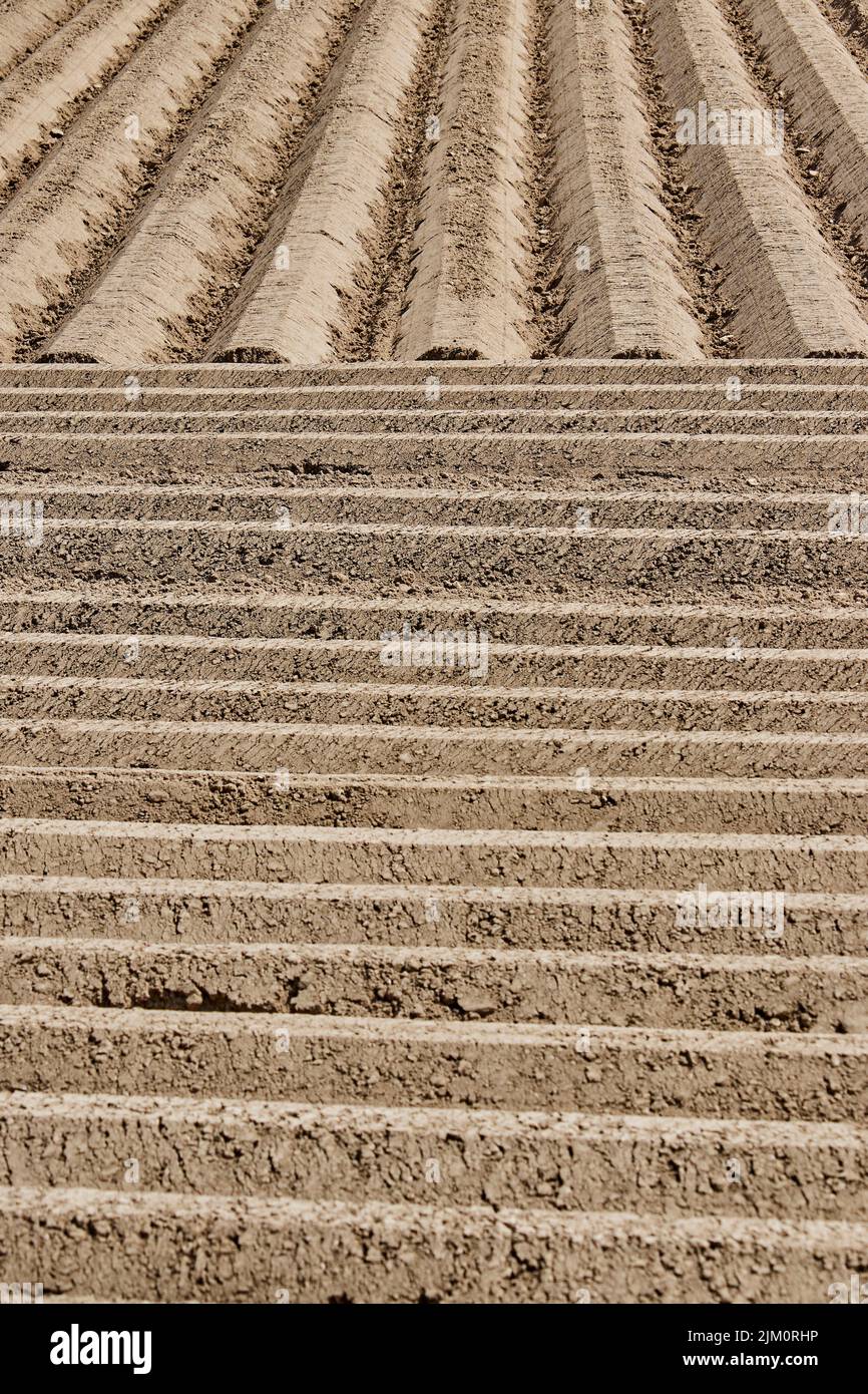 The ploughed field in Geilenkirchen, Germany - Farm scenery Stock Photo ...