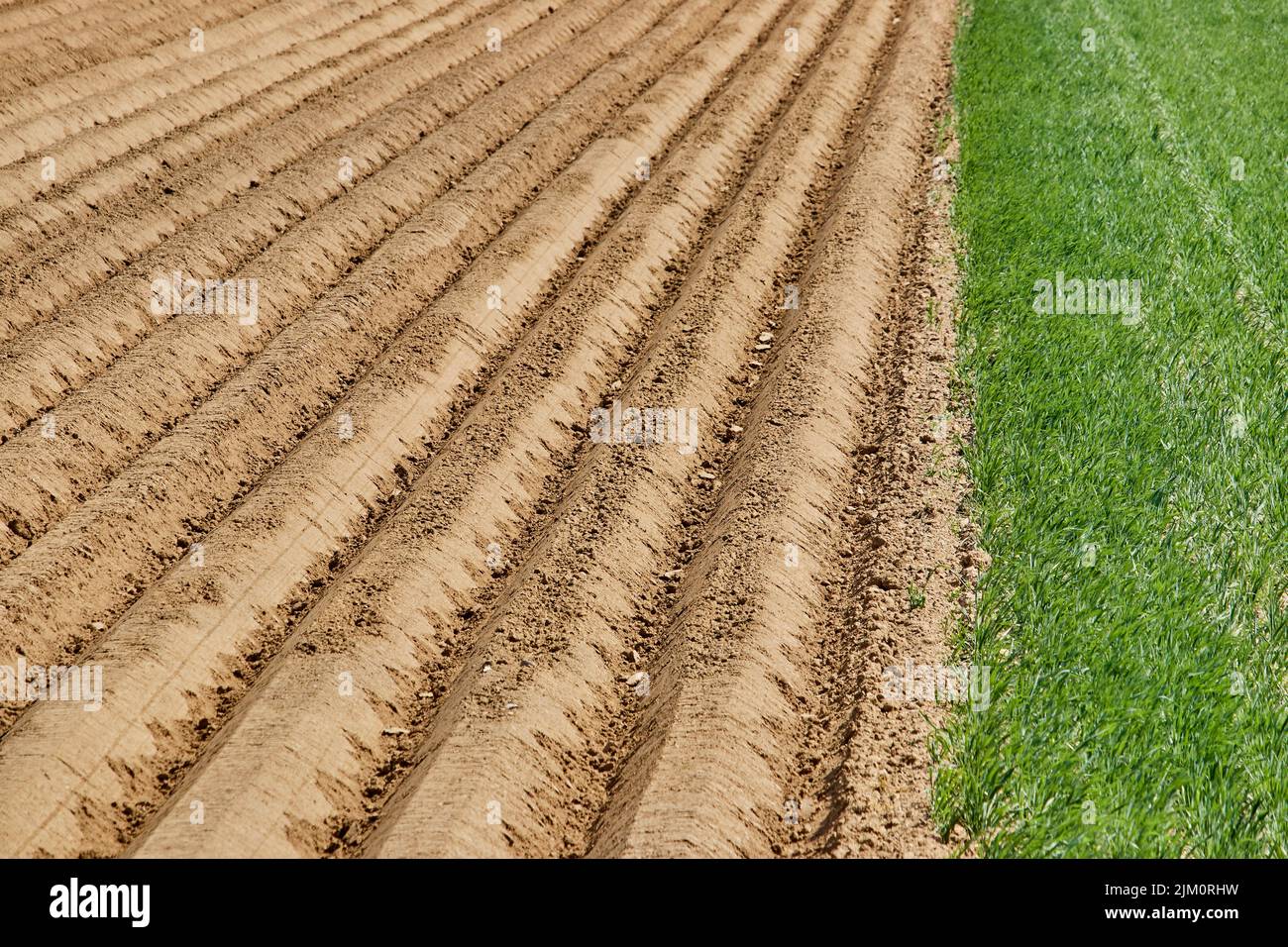The ploughed field in Geilenkirchen, Germany - Farm scenery Stock Photo ...