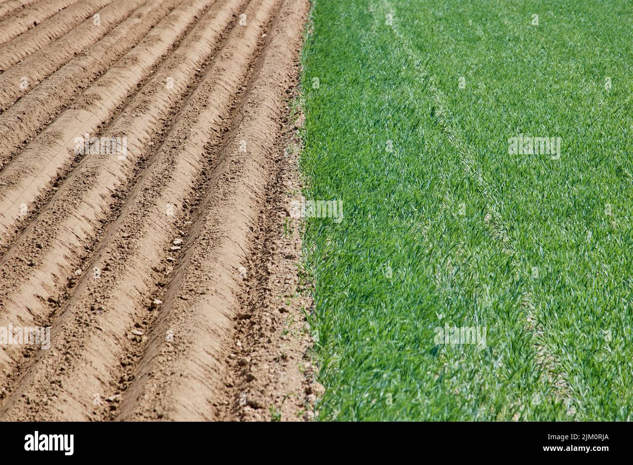 The ploughed field in Geilenkirchen, Germany - Farm scenery Stock Photo ...
