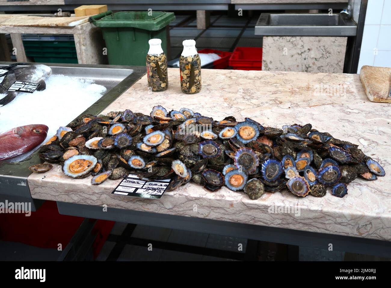 Fish market in the market hall (Mercado dos Lavradores) of Funchal in ...