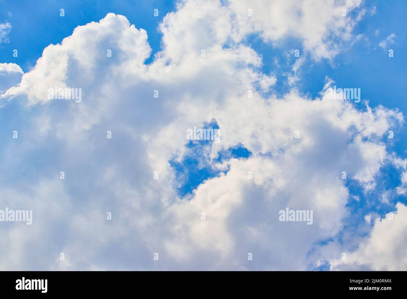 Saturated nature hi-res stock photography and images - Alamy