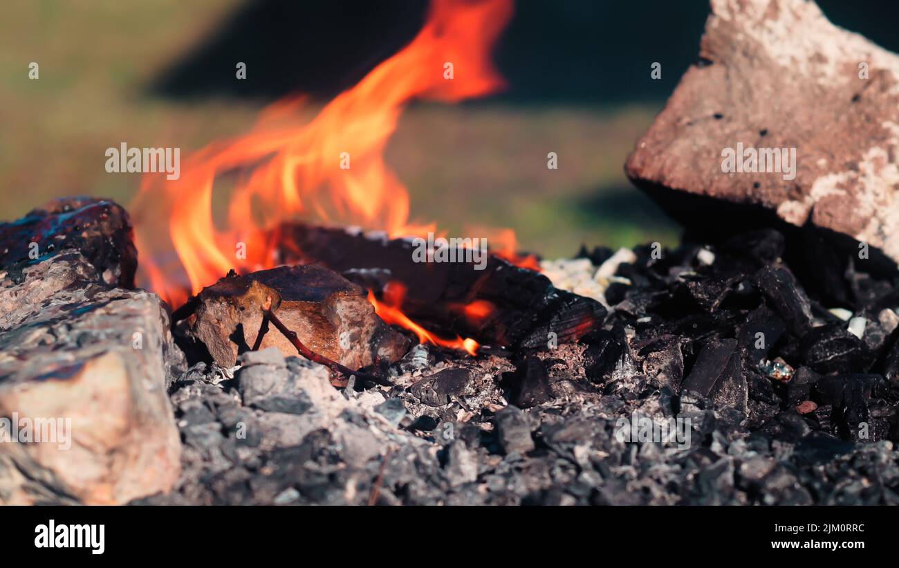 A closeup of a bonfire with wood burning in it and flames coming out on ...