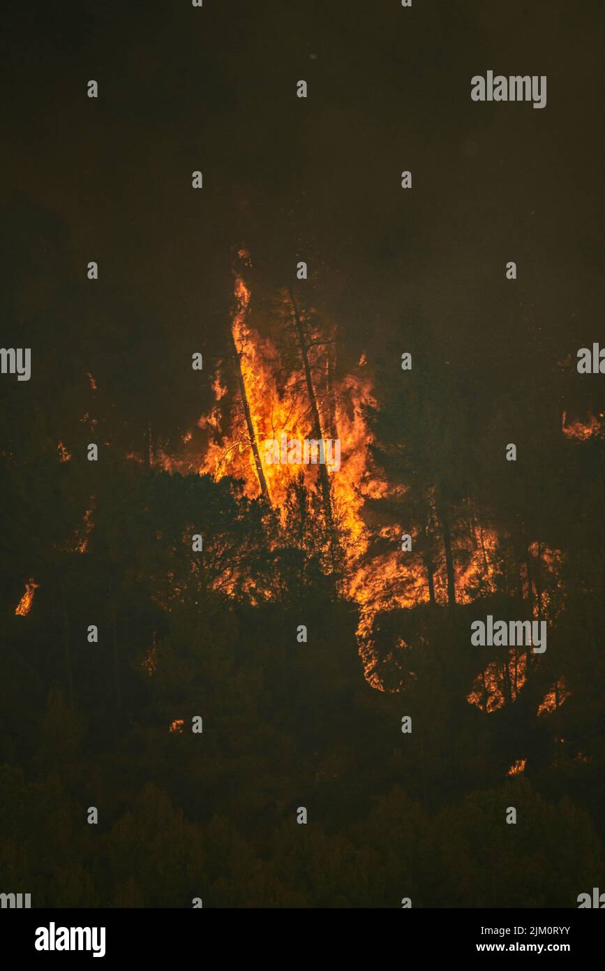 Incendio di foresta hi-res stock photography and images - Alamy