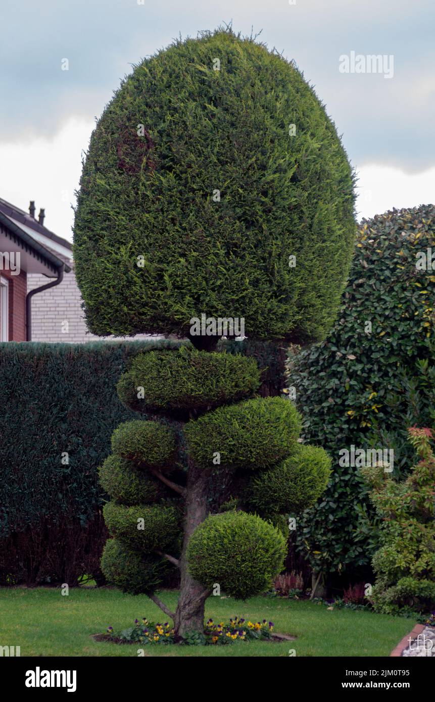 Beautiful yard and landscaping hi-res stock photography and images - Alamy