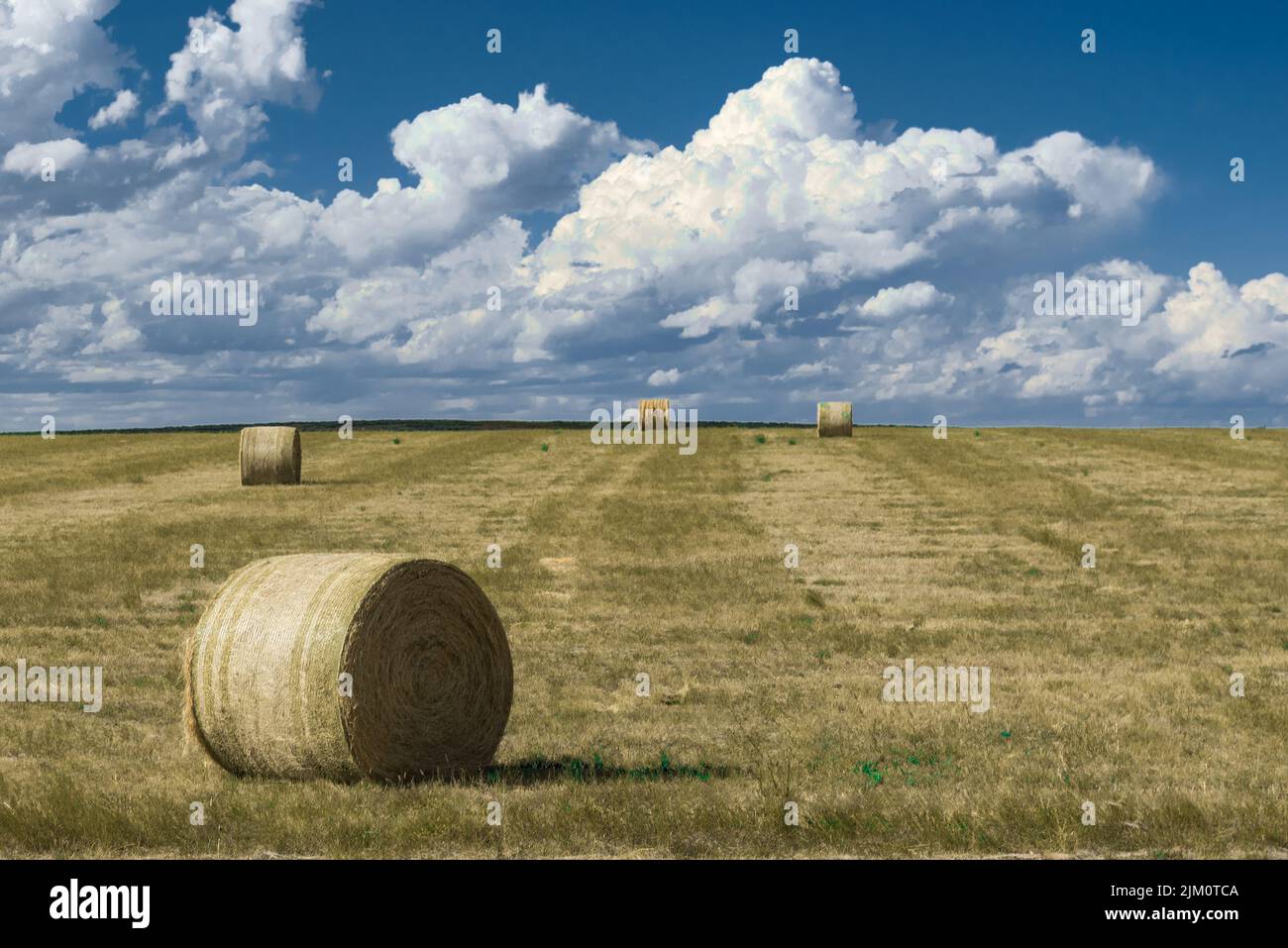 A beautiful shot of haystacks in a field on a sunny day against a ...