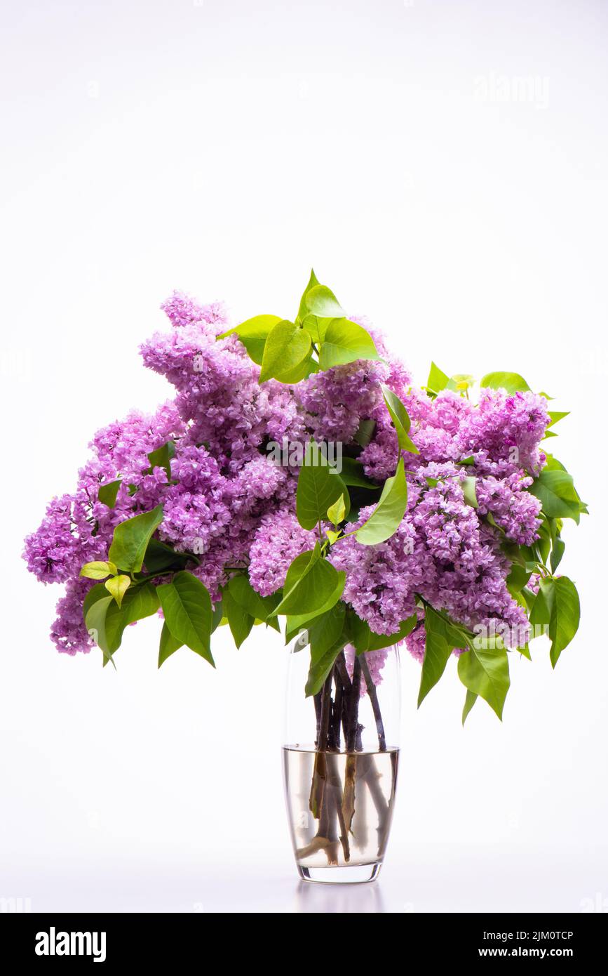Beautiful spring bouquet of purple lilacs in a transparent glass vase ...