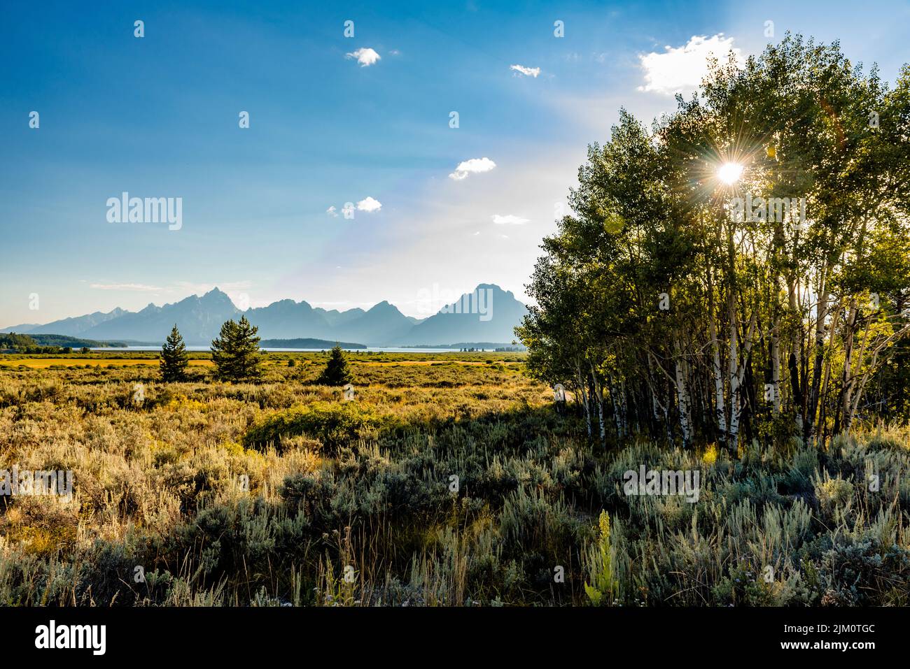 A green field with trees and mountains under the clear sky in Grand ...