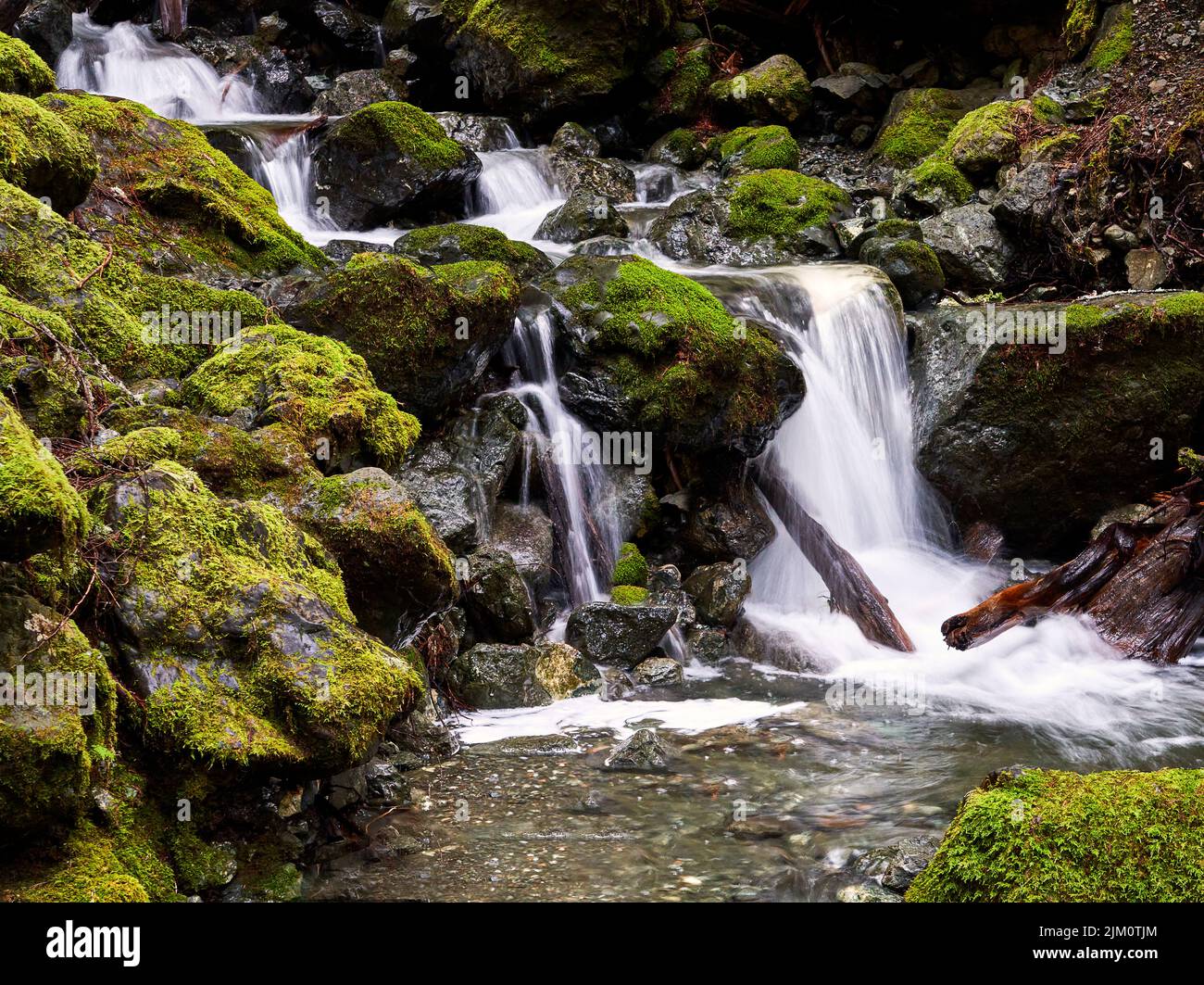 waterfall, mossy, stream, water, cascade, moss, river, forest, creek ...