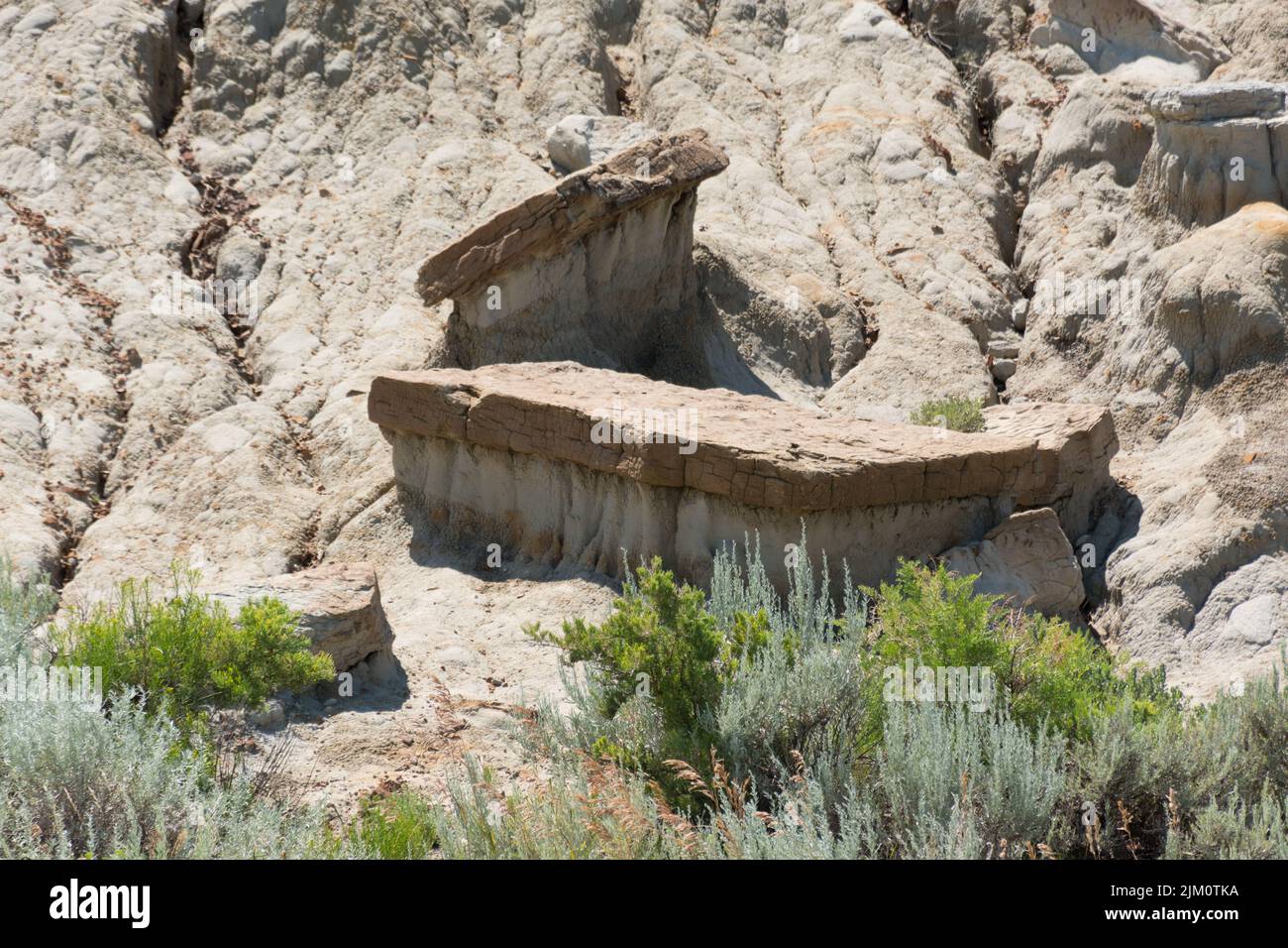 Table formation hi-res stock photography and images - Alamy