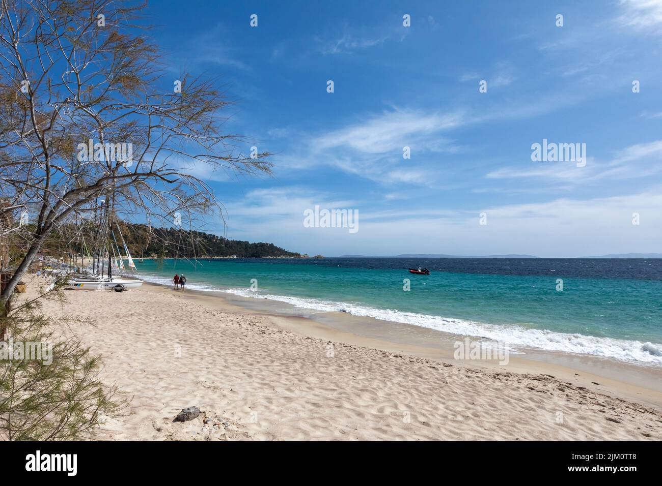A beautiful view of trees on the beach in Cavaliere, France Stock Photo ...