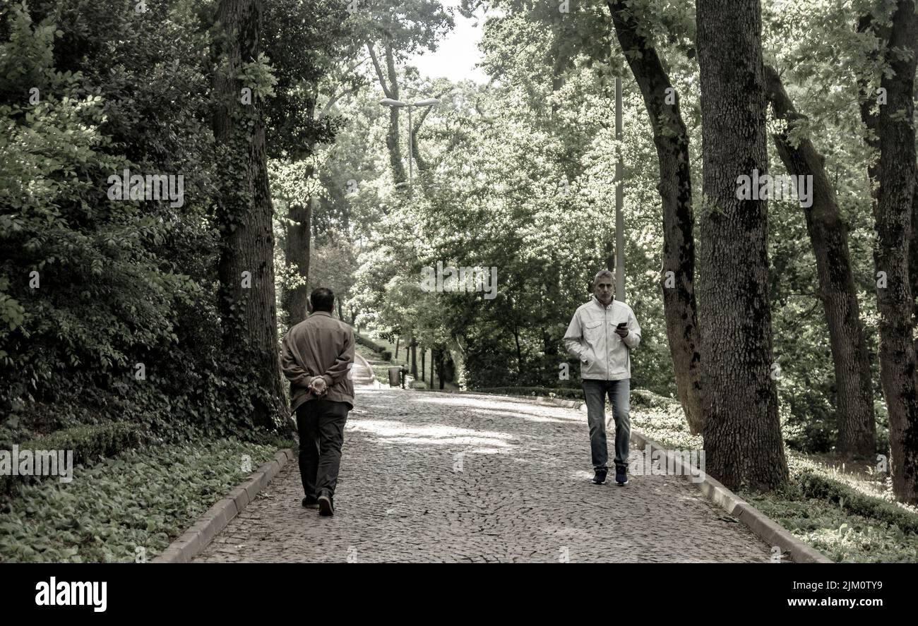 Two men walking side by side in a forest in Istanbul, Turkey Stock ...