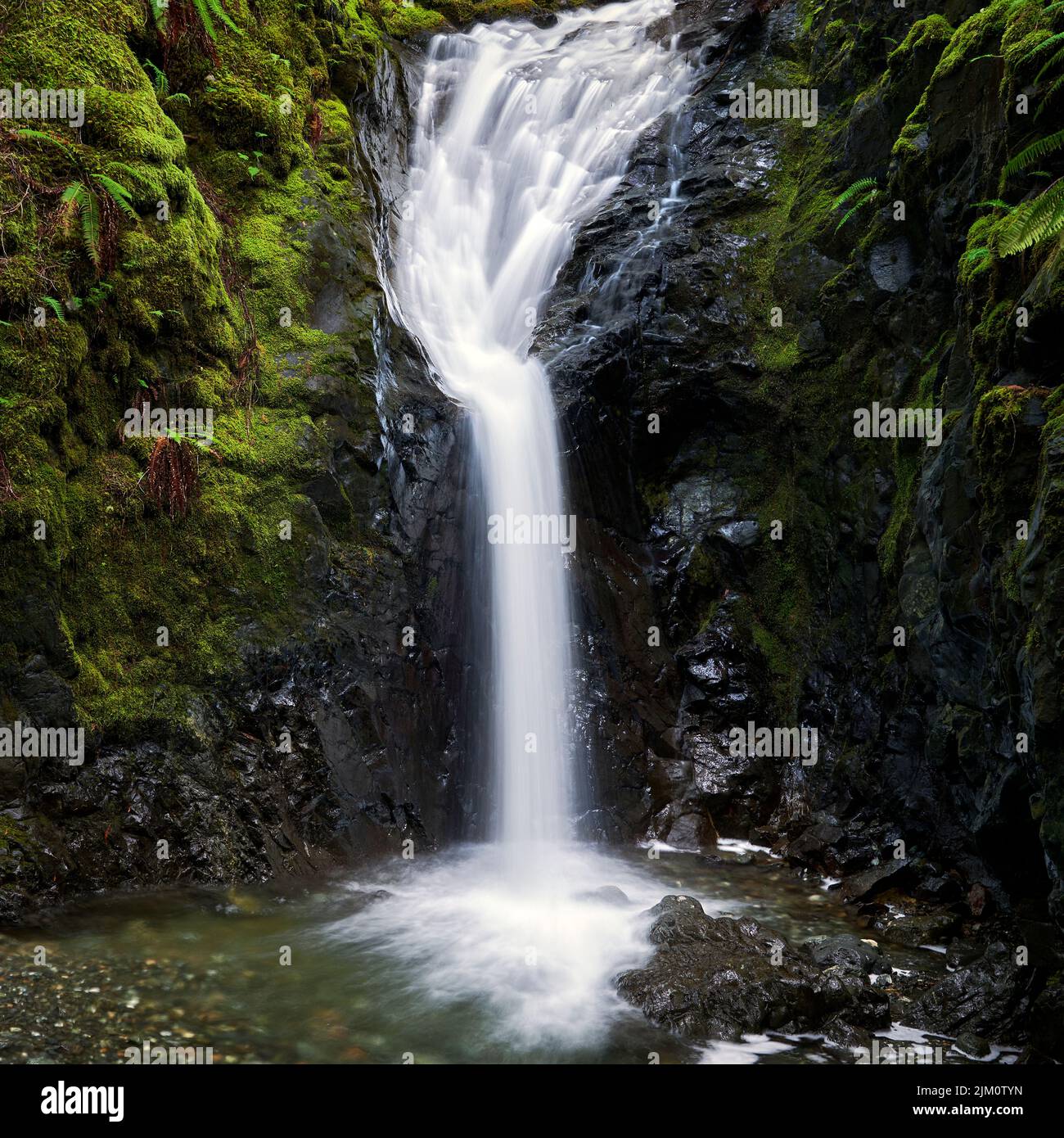 A bright white waterfall flowing down a black cliff surrounded by vivid ...