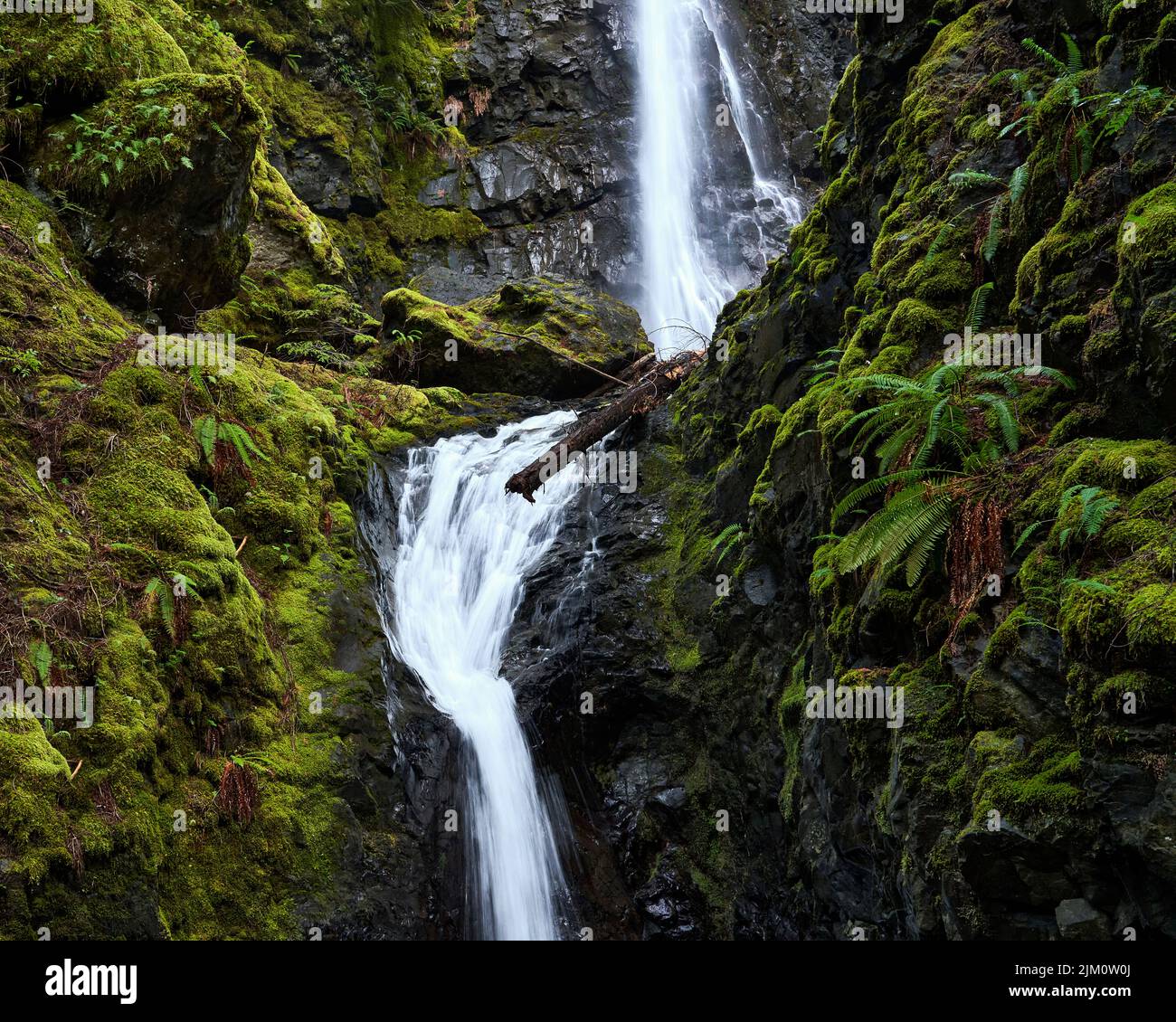 A waterfall cascading down the steep black cliff amongst the vivid ...