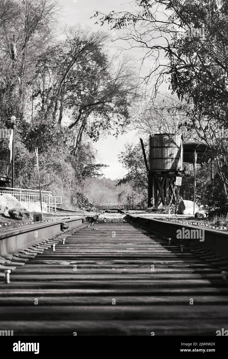 A vertical grayscale shot of train tracks in a park with many trees ...