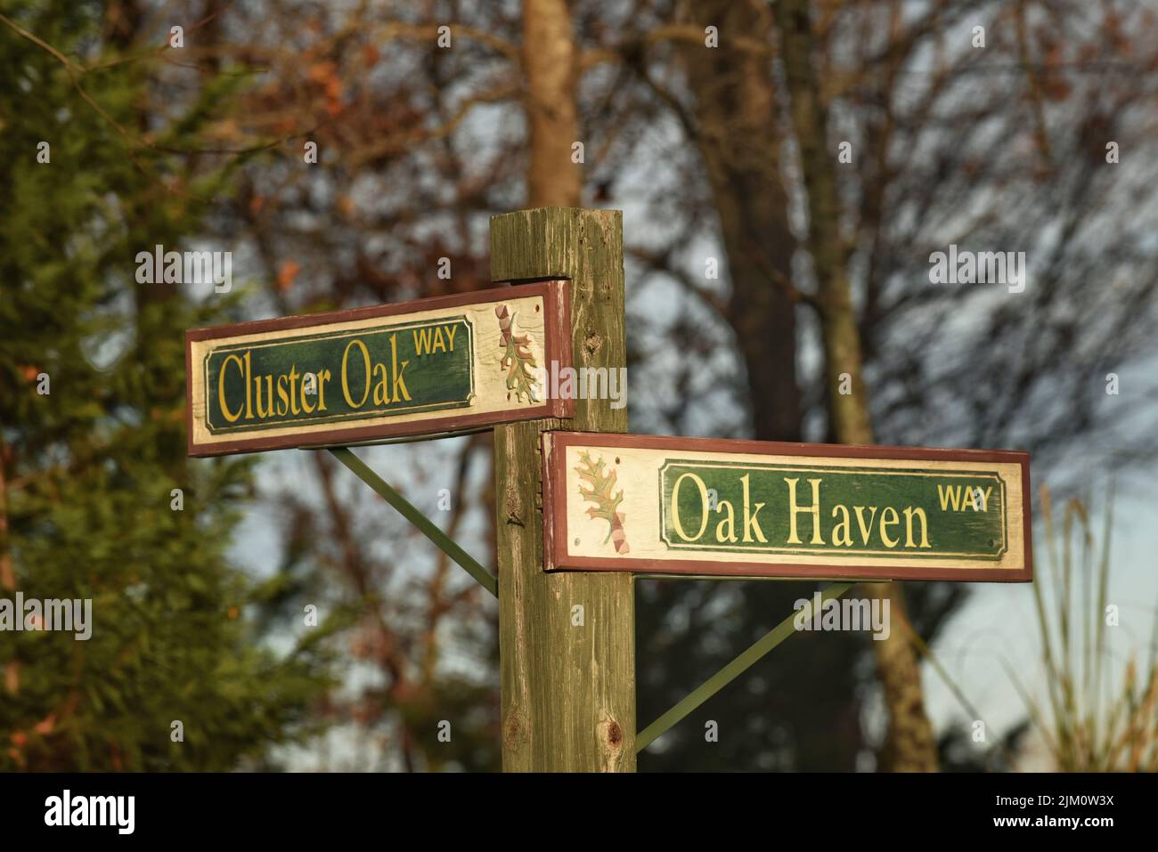 A closeup of direction road signs - Cluster Oak and Oak Haven Stock ...
