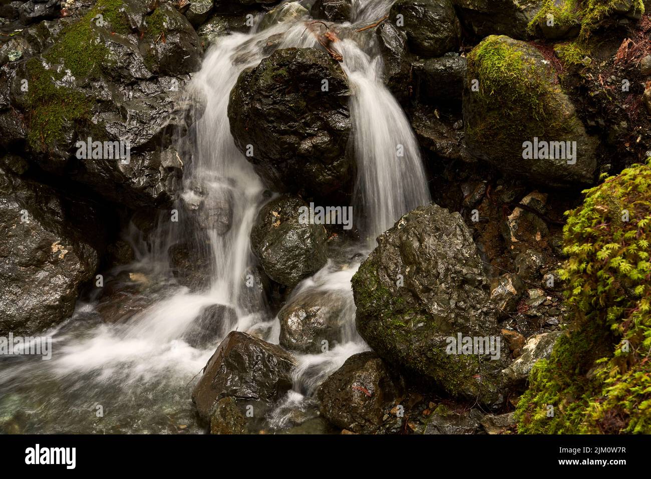 Closeup of a waterfall, water cascading over large boulders surrounded by moss covered rocks ...