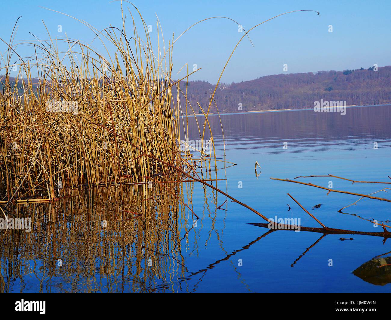 Beautiful lake in germany hi-res stock photography and images - Alamy