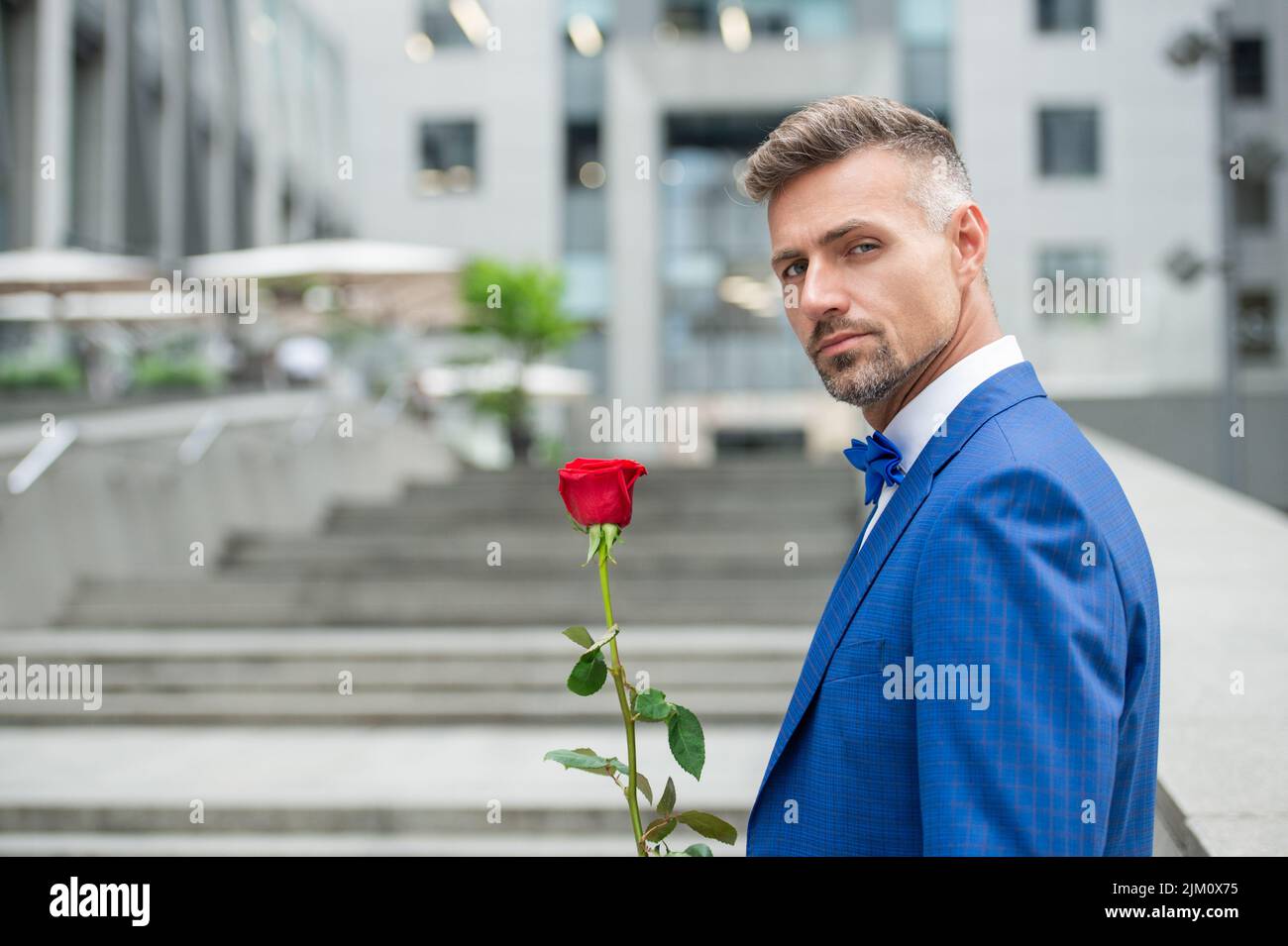 proposal concept. tuxedo man preparing for a proposal. man before ...