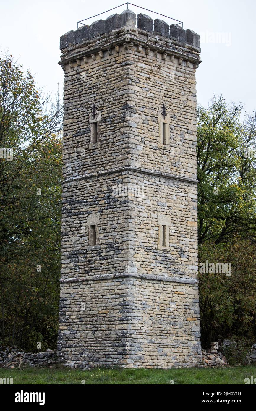 A vertical view of a medieval brick tower in the woods in Dijon, France ...