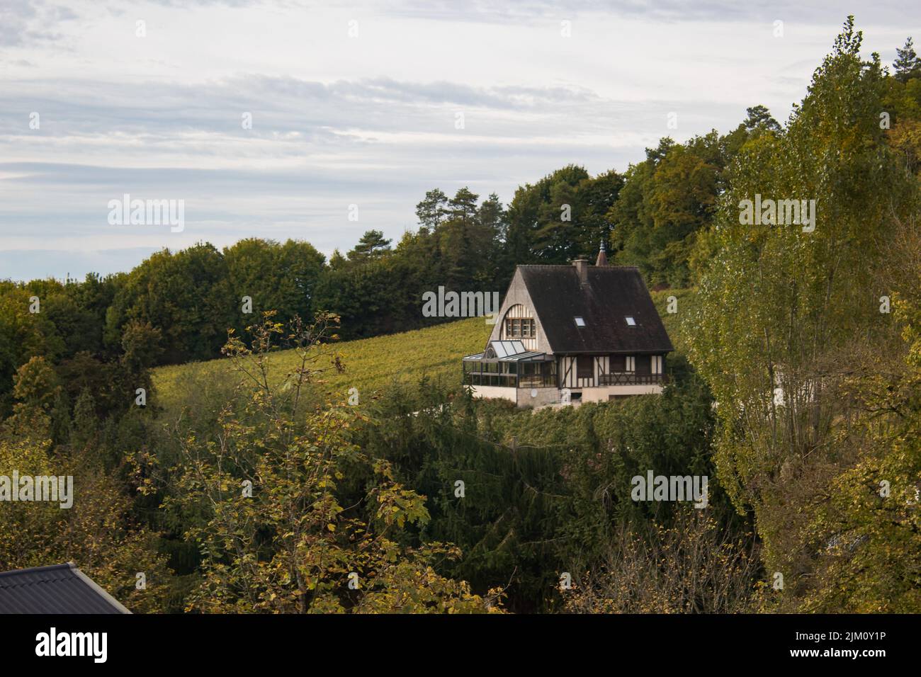 A small house in the middle of vineyards on cloudy sky background Stock ...