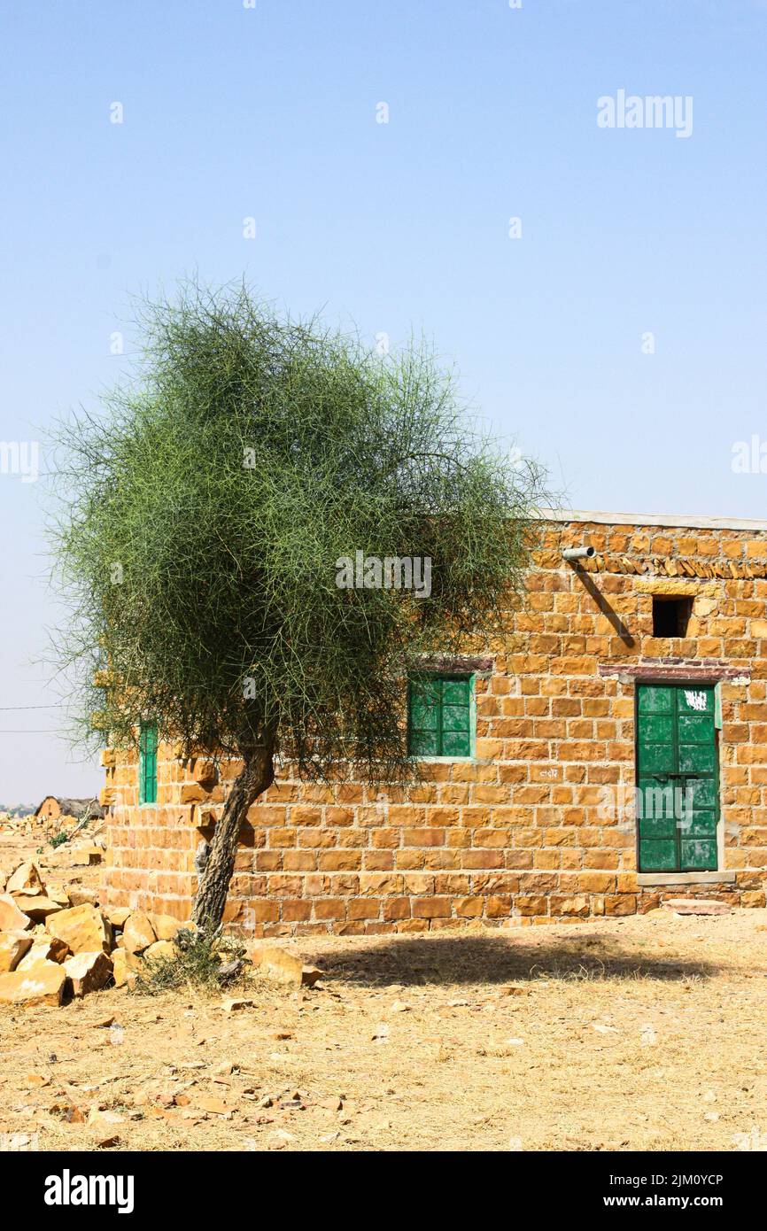 An aged brick house with a single tree in front Stock Photo - Alamy
