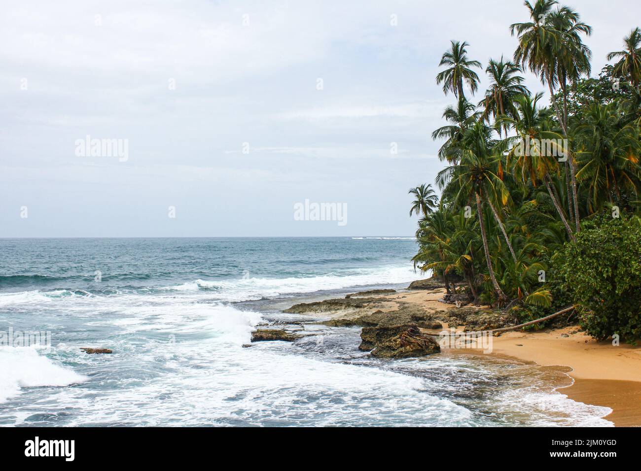 A beautiful landscape of the sea near the green dense forest Stock ...