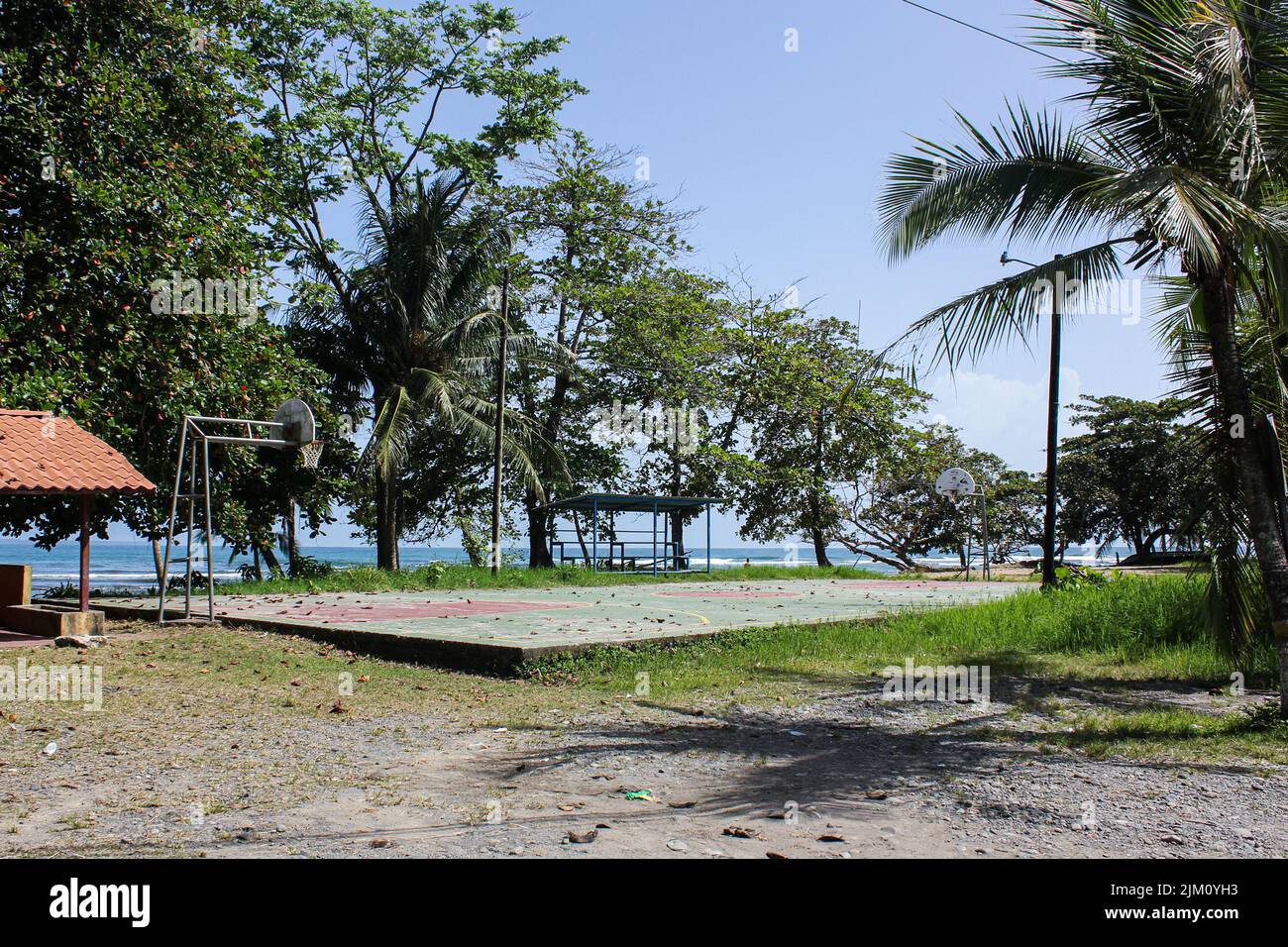 Tropical park hi-res stock photography and images - Alamy