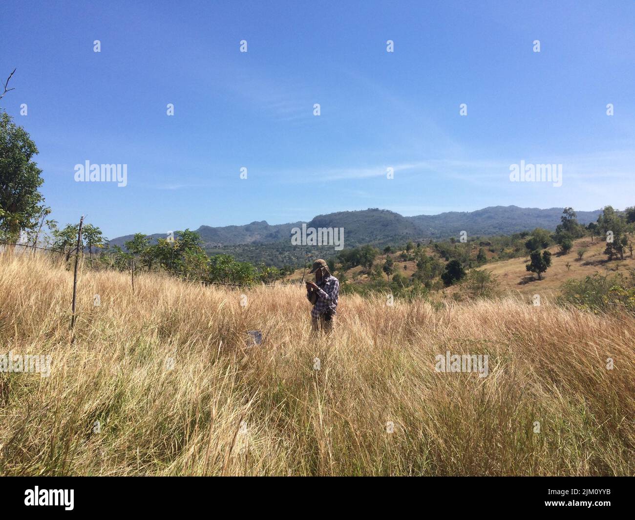 Person walking in field trees hi-res stock photography and images - Alamy