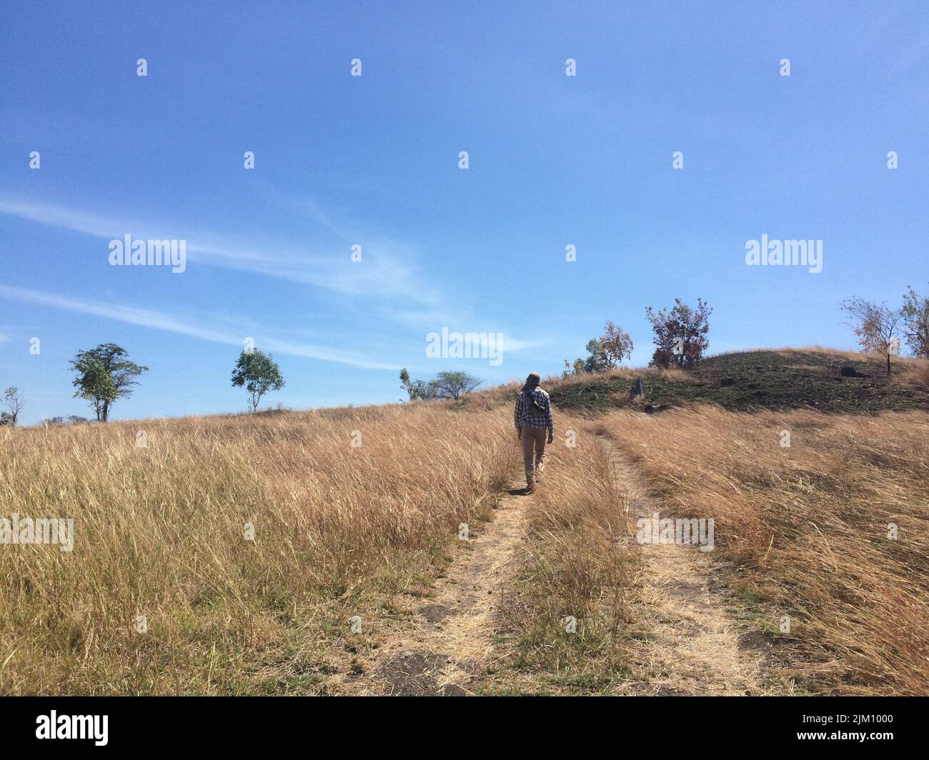 Trail in field grass hi-res stock photography and images - Alamy