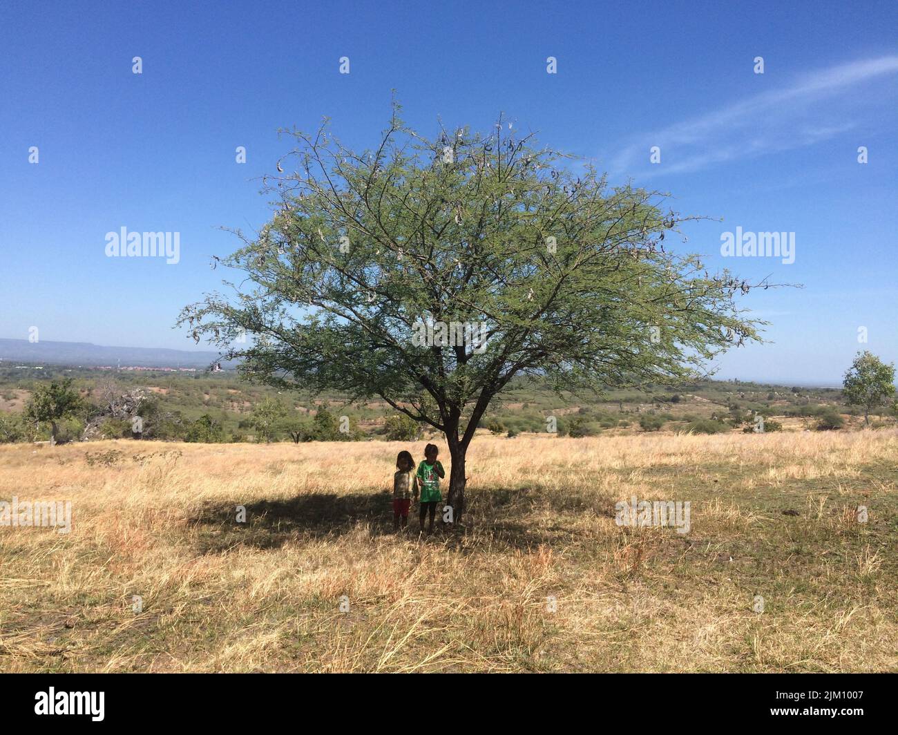 Boy tree shade hi-res stock photography and images - Alamy