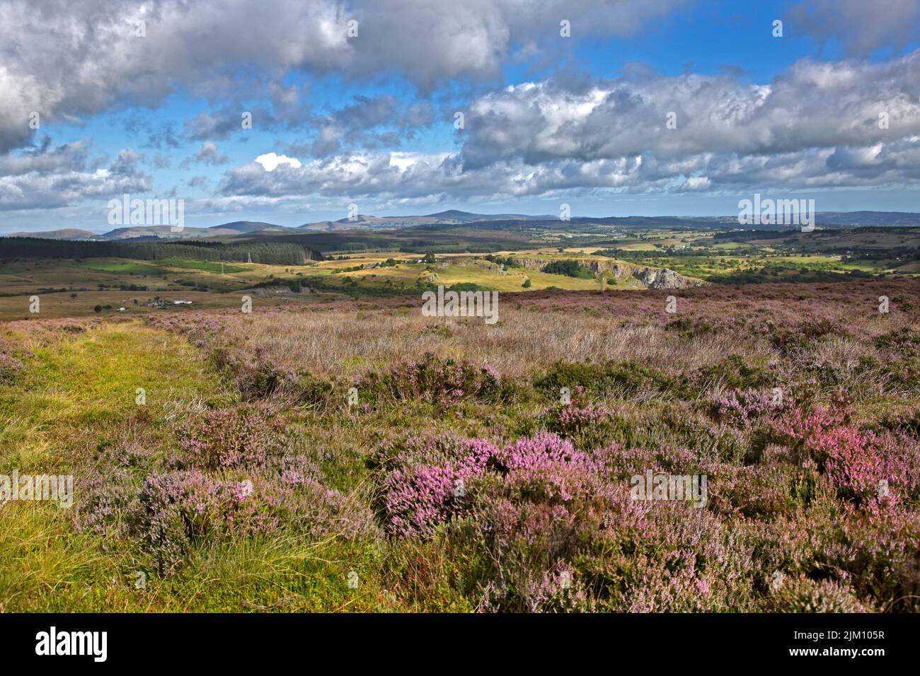 Wales moorland scenery hi-res stock photography and images - Alamy