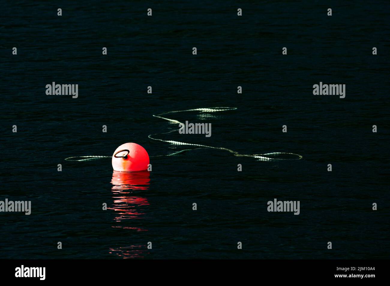 Red float, buoy fasten, tied up by a rope on the surface. The dark ...